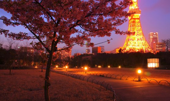 10 recommended night views of Tokyo | Exploring Japan